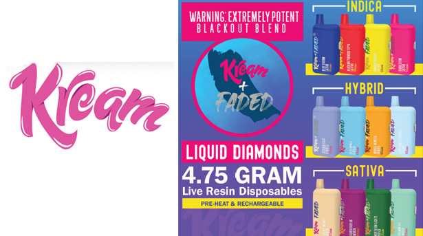 B2B Wholesaler Magazine